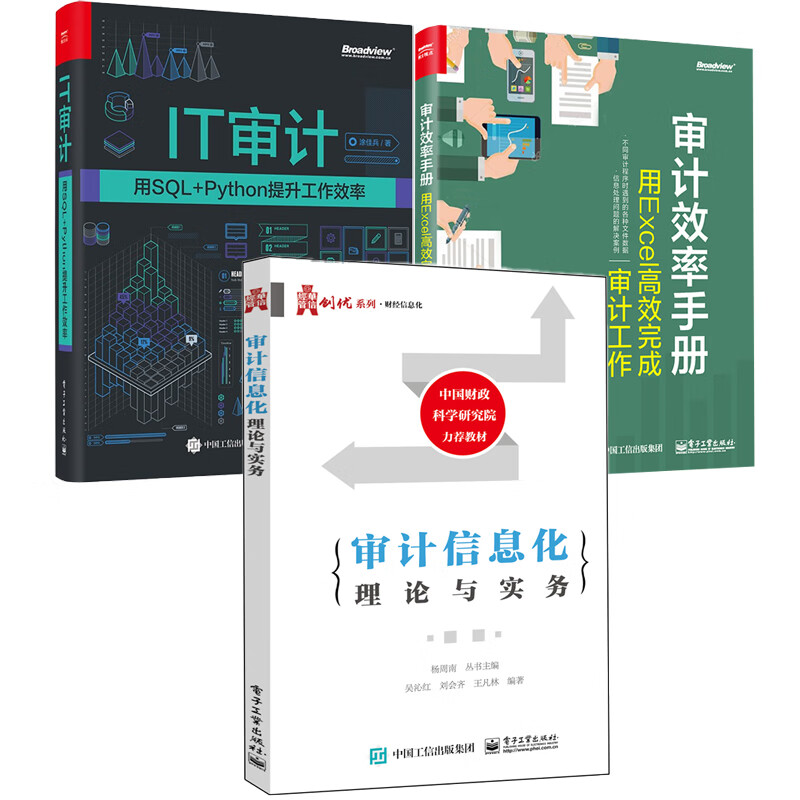 【全3册】审计信息化理论与实务+IT审计用SQL+Python提升工作效率+审计效率手册用Excel高效完成审计工作IT审计SQL实战数据可视化