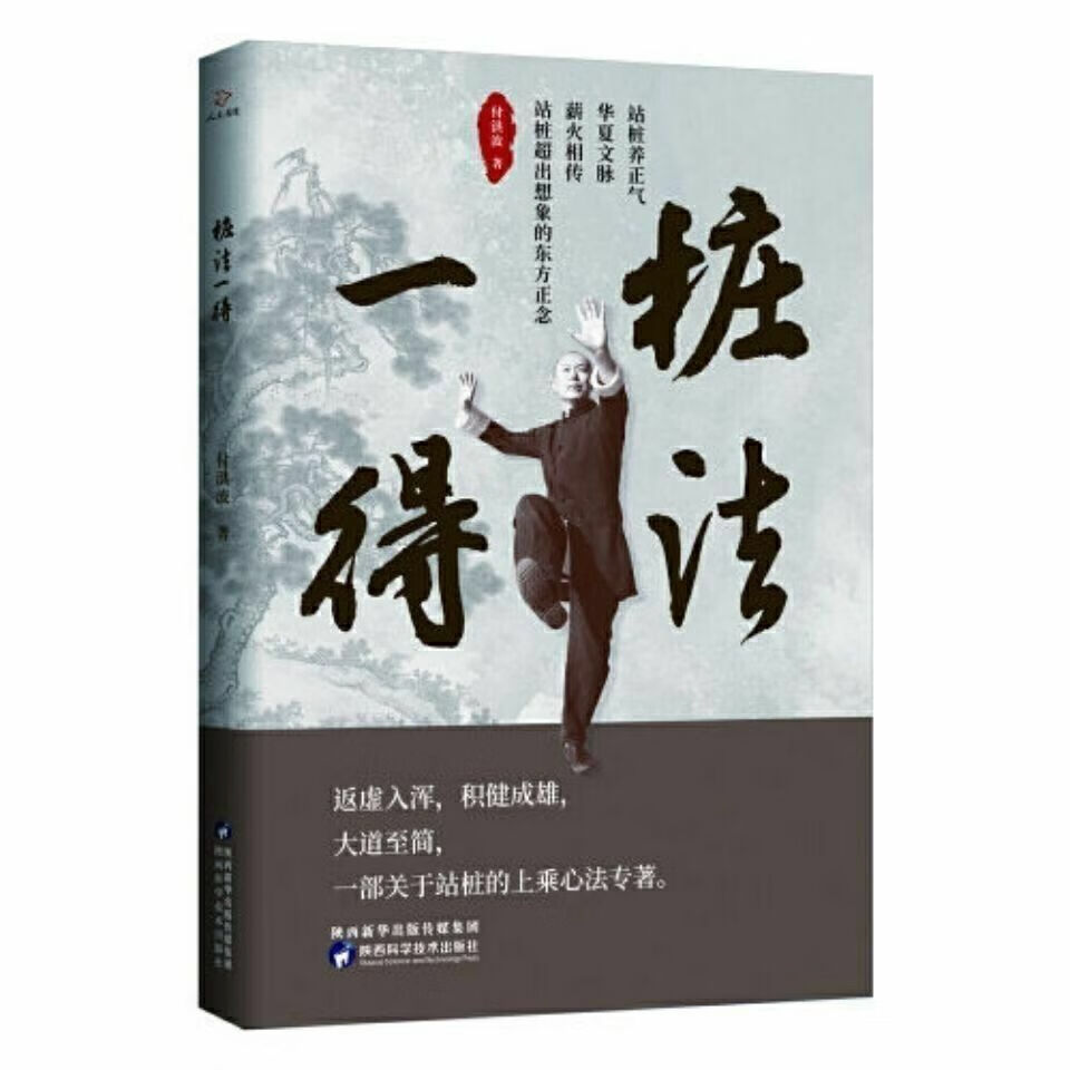 现货速发 桩法一得 付洪波 著
