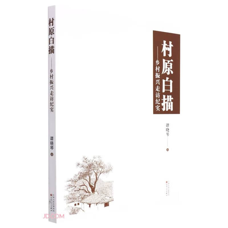 村原白描--乡村振兴走访纪实
