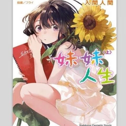 （24小时发货）轻小说现货 妹妹人生 上下共两册 !中文简体 现货 妹妹人生 上下共两册 轻小说