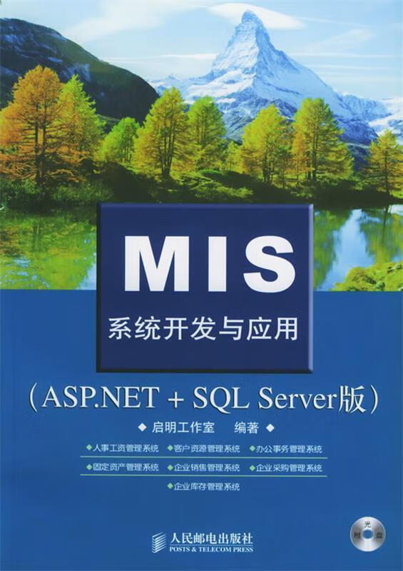 MIS系统开发与应用 启明工作室 编【书】