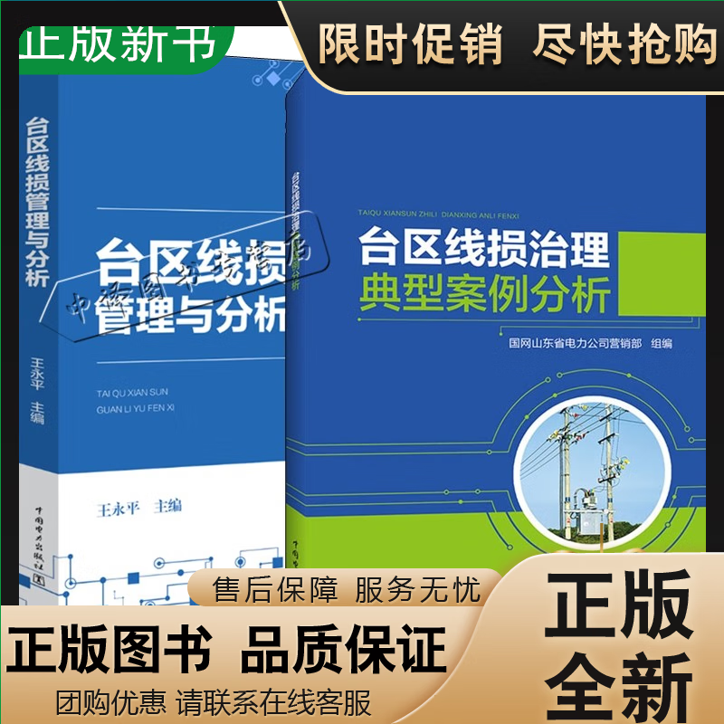 2册 台区线损管理与分析+台区线损治理典型案例分析 台区线 化管理书籍