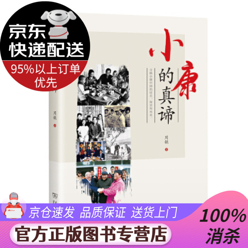 小康的真谛 周锟 著 商务印书馆