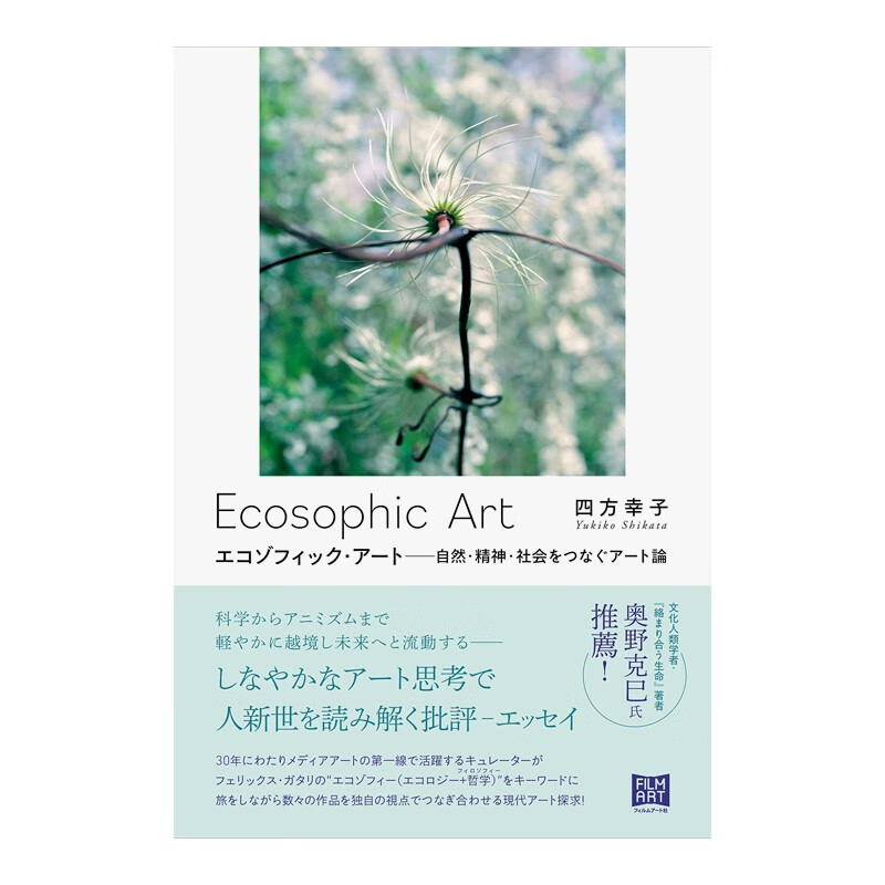 生态学艺术 日本当代艺术 日文原版 善本图书
