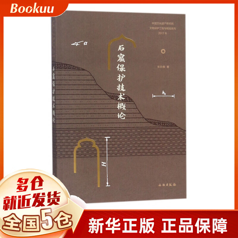 石窟保护技术概论(2017年)/中国文化遗产研究院文物保护工程与规划系列