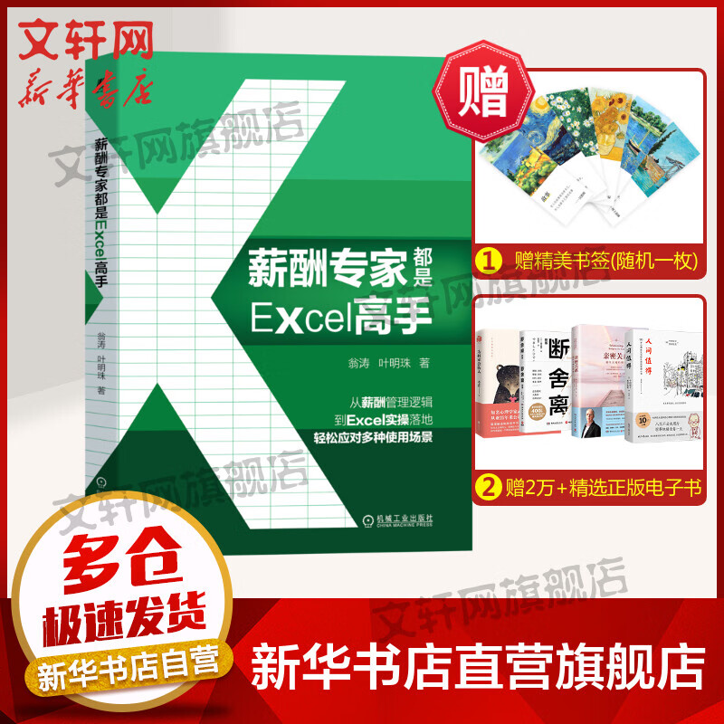 薪酬专家都是Excel高手 图书