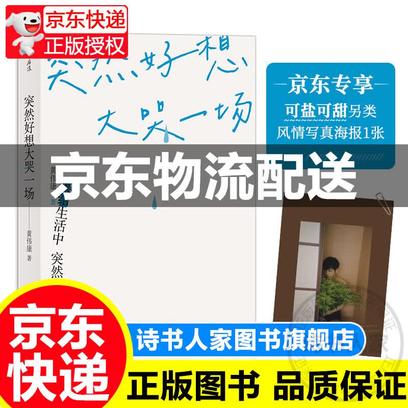 突然好想大哭一场（京东专享可盐可甜另类风情写真海报1张）