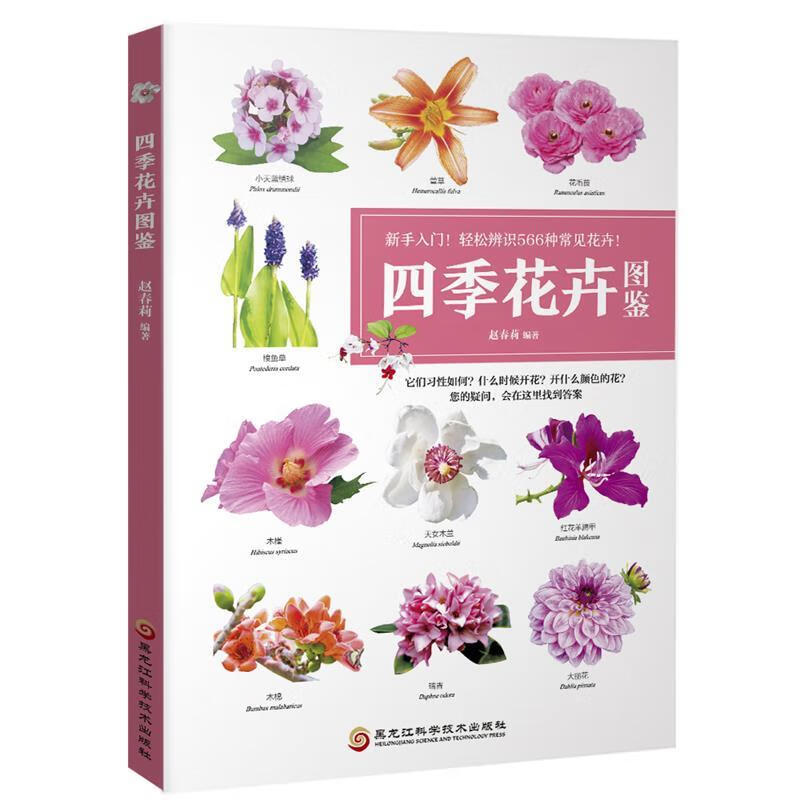 四季花卉图鉴 赵春莉