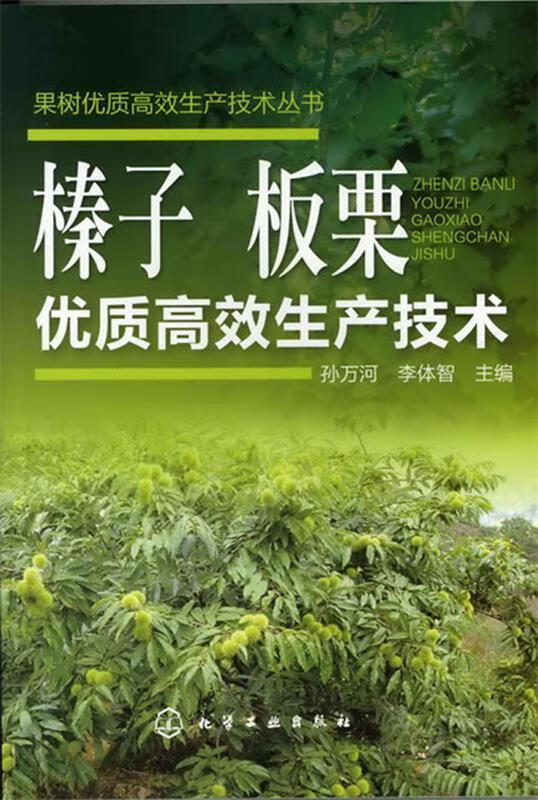 榛子、板栗优质高效生产技术