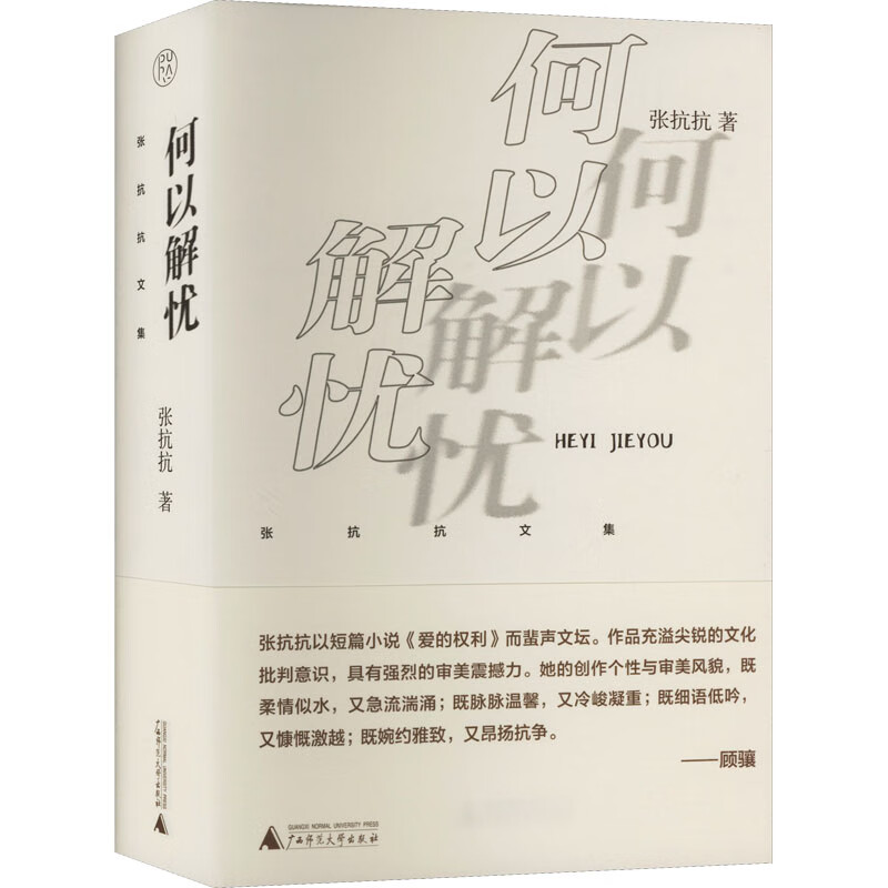 何以解忧 张抗抗  书籍