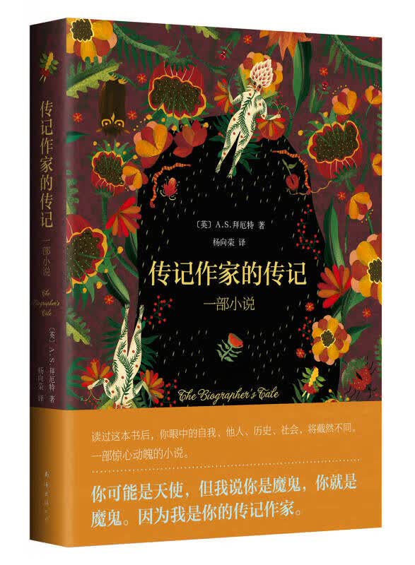 传记作家的传记 一部小说
