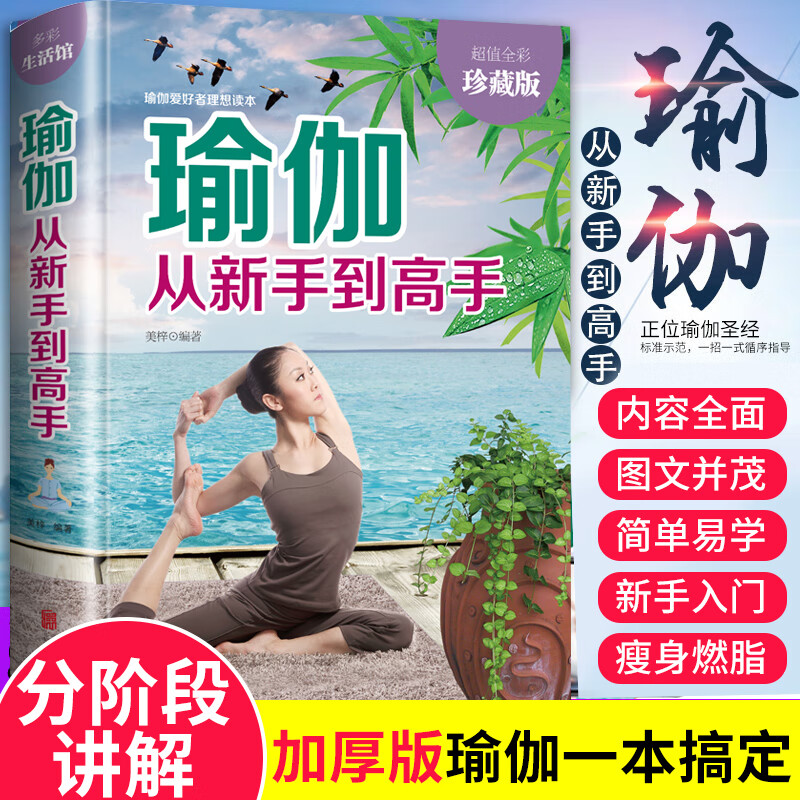 瑜伽从新手到高手 瘦身减肥初学者塑身健身瑜伽练习燃脂变美变瘦 瑜伽从新手到高手