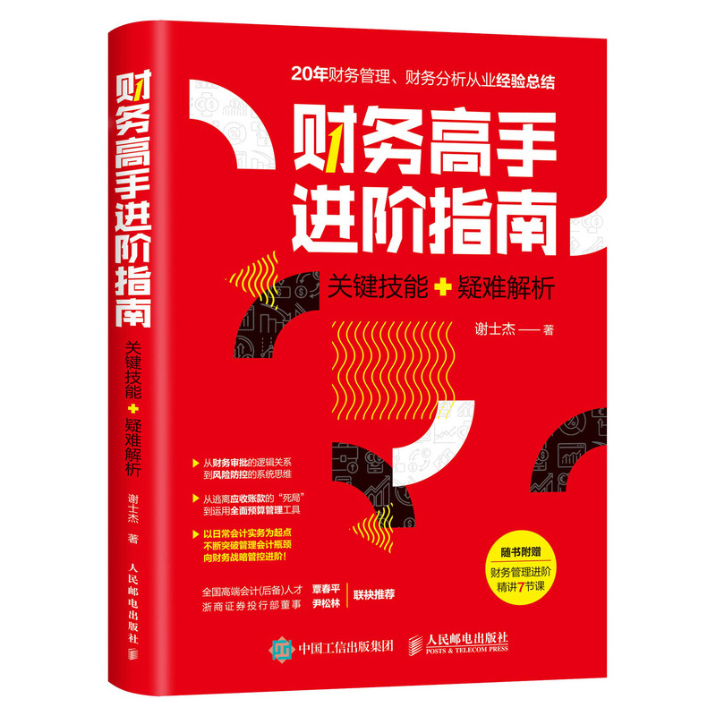 财务高手进阶指南(关键技能+疑难解析)
