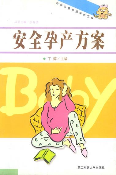 安全孕产方案 丁辉 著【书】