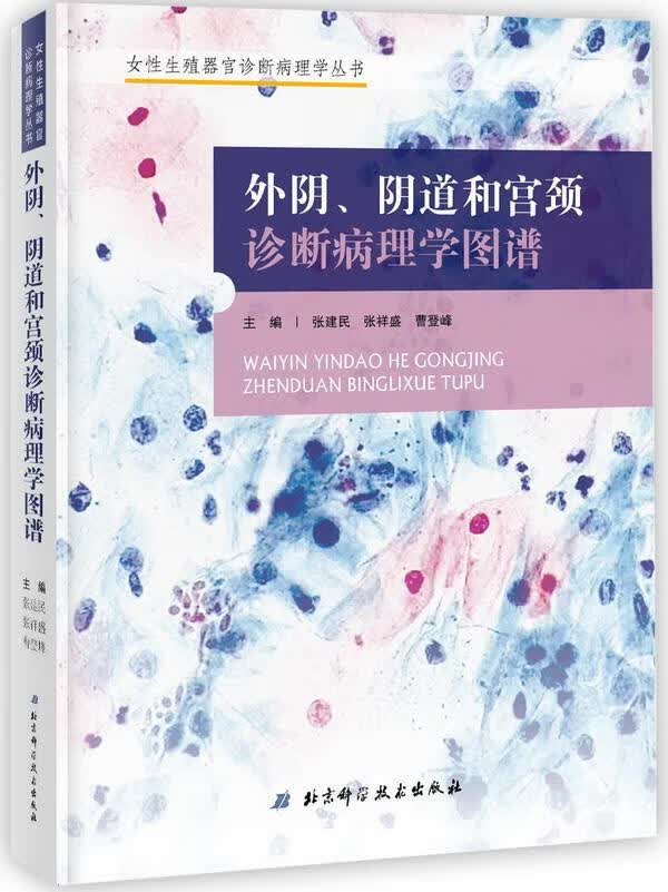 外和宫颈诊断病理学图谱 张建民张祥盛曹登峰 医学 9787530490044