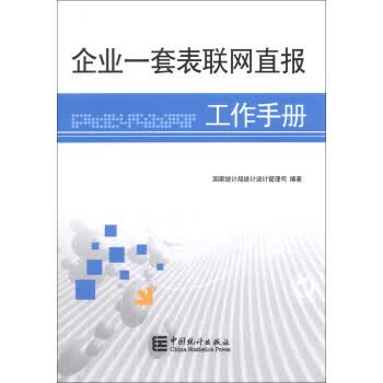 企业—套表联网直报工作手册