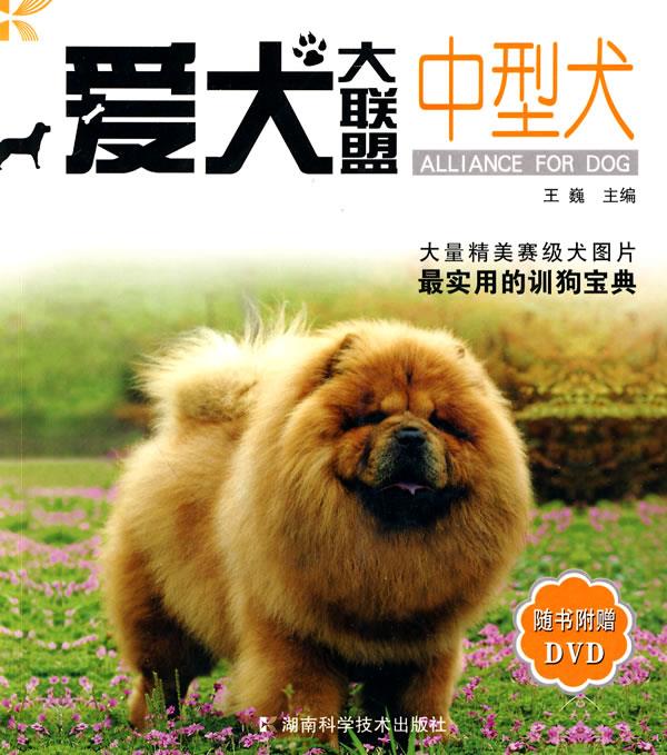爱犬大联盟-中型犬