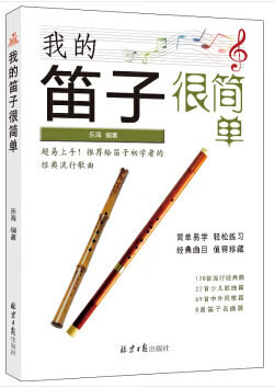 【 送货上门】我的笛子很简单 乐海 北京日报出版社