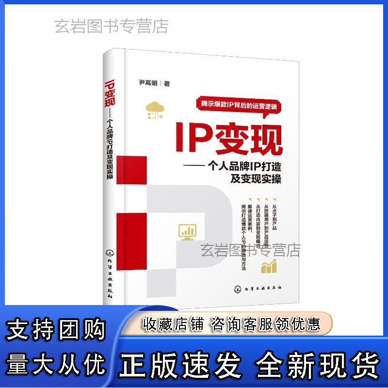 nIP变现--个人IP打造及变现实操 尹高明 书籍