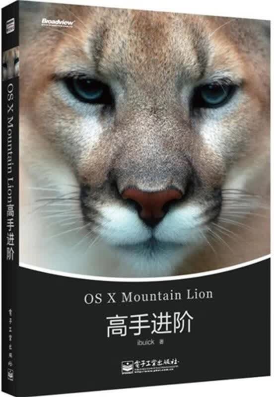 OS X Mountain Lion高手进阶 王飞 电子工业出版社