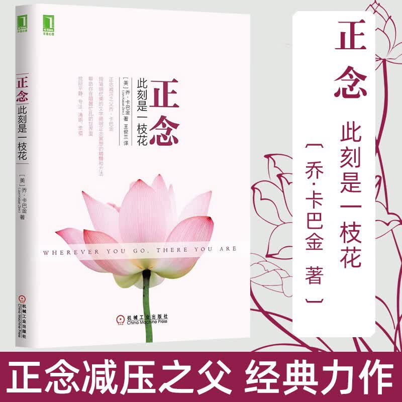 正念 此刻是一枝花 乔卡巴金 修身养性正能量积极心理学自我调节减压书 心灵修养心理励志减压疗愈力心理学书籍自控力强迫症抑郁症