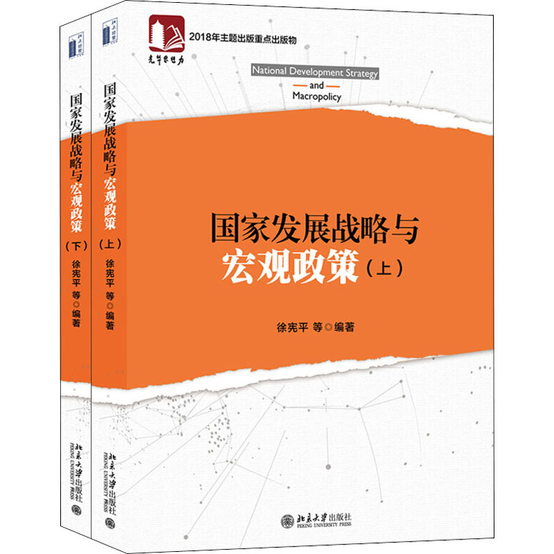 国家发展战略与宏观政策(全2册)