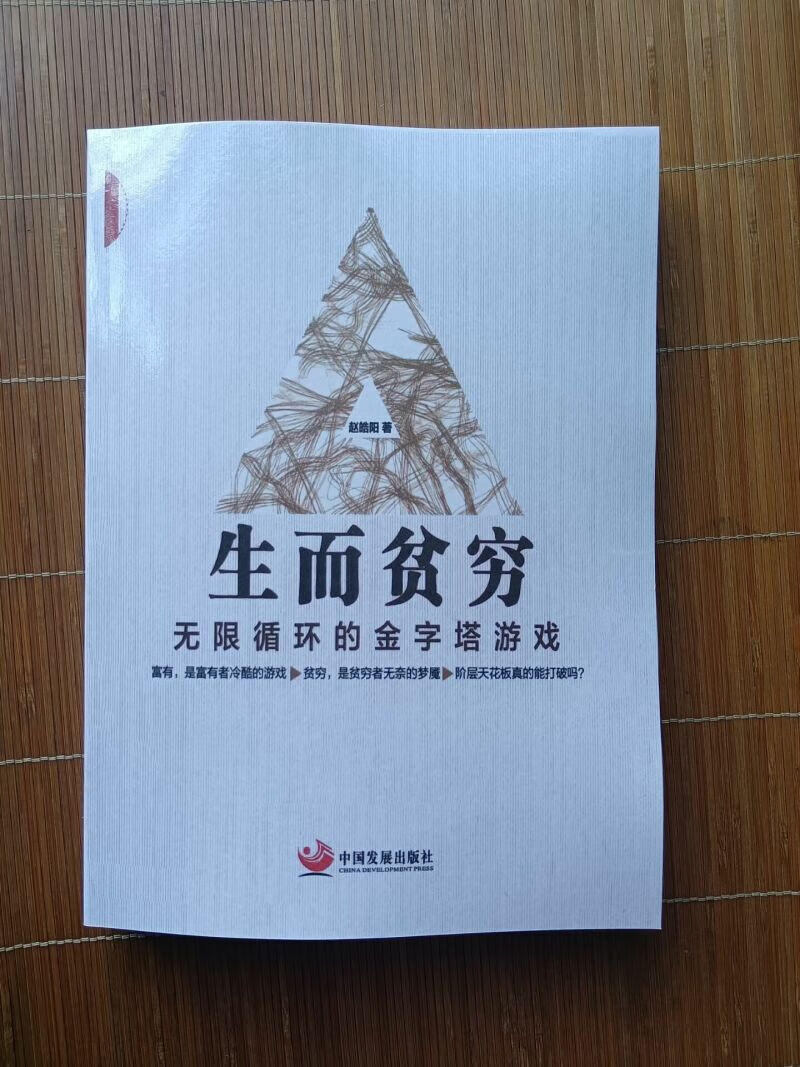 赵皓阳著 贫困问题研究