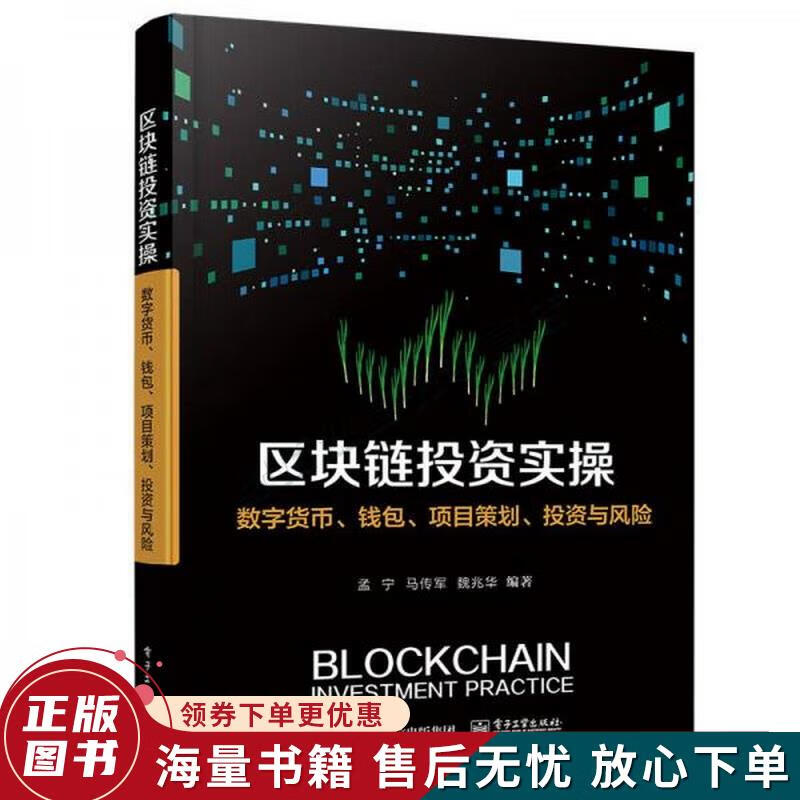 区块链投资实操：数字货币、钱包、项目策划、投资与风险