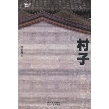 村子 冯积岐 著