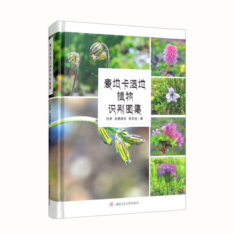 麦地卡湿地植物识别图集 物识别图集