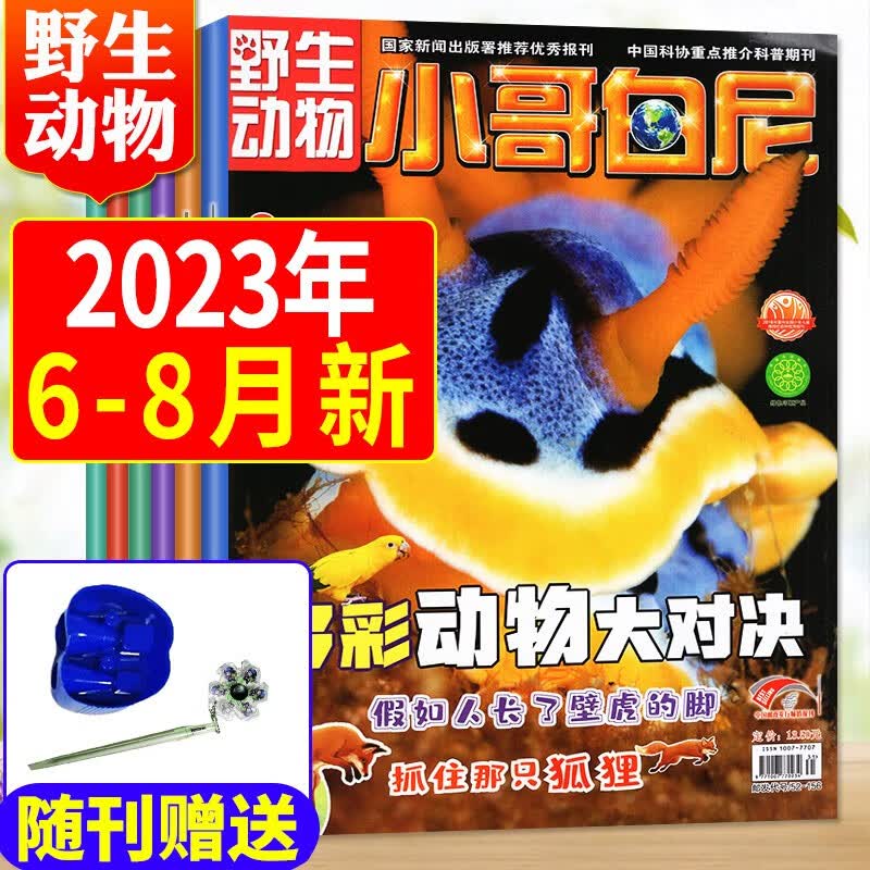 小哥白尼杂志野生动物2022年1-12月/2023全年/半年订阅/打包 6-15岁中小学生青少年科普自然探索期刊书籍 【共3期】2023年6/7/8月