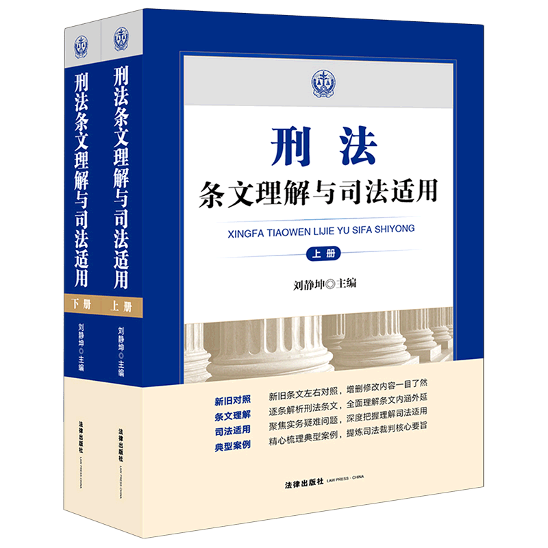 刑法条文理解与司法适用(上下)