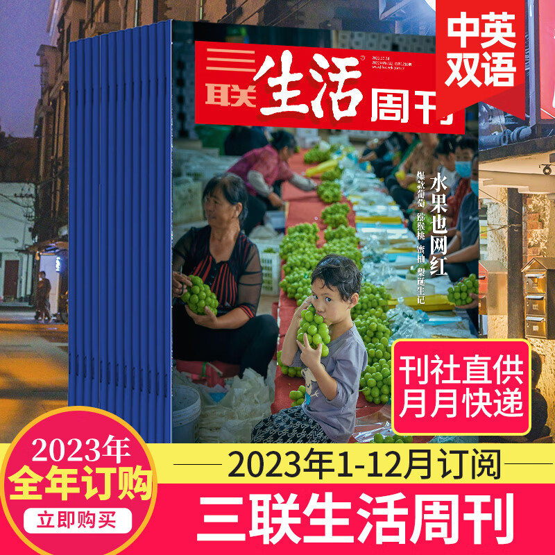 三联生活周刊杂志2023/22年人文社会生活艺术电影新闻时事财经文化热点追踪期刊中文刊杂志 【2023整年订阅】全年52期
