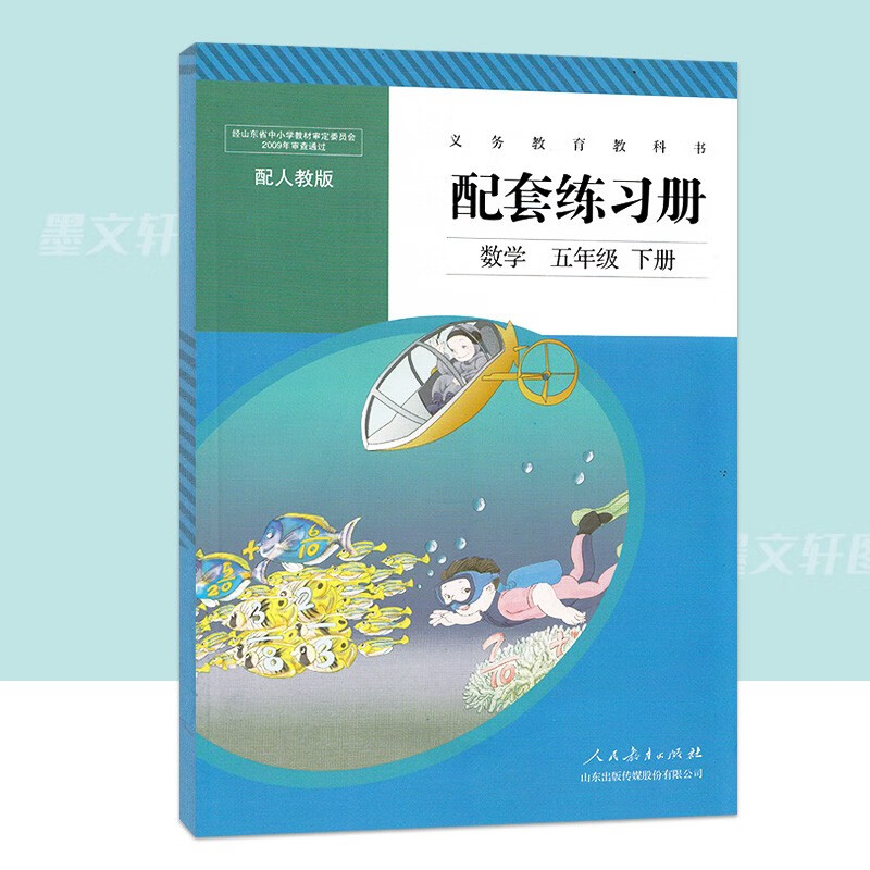 人教版配套练习册数学五年级下册 部编版五年级下册数学同步练习册 人民教育出版社5年级数学下册同步训练