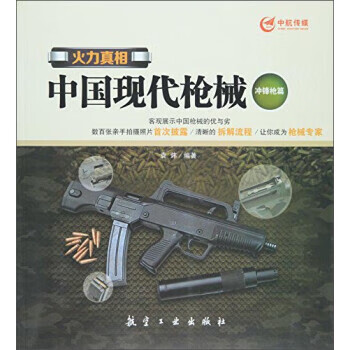 火力真相 中国现代枪械 袁炜 著【书】