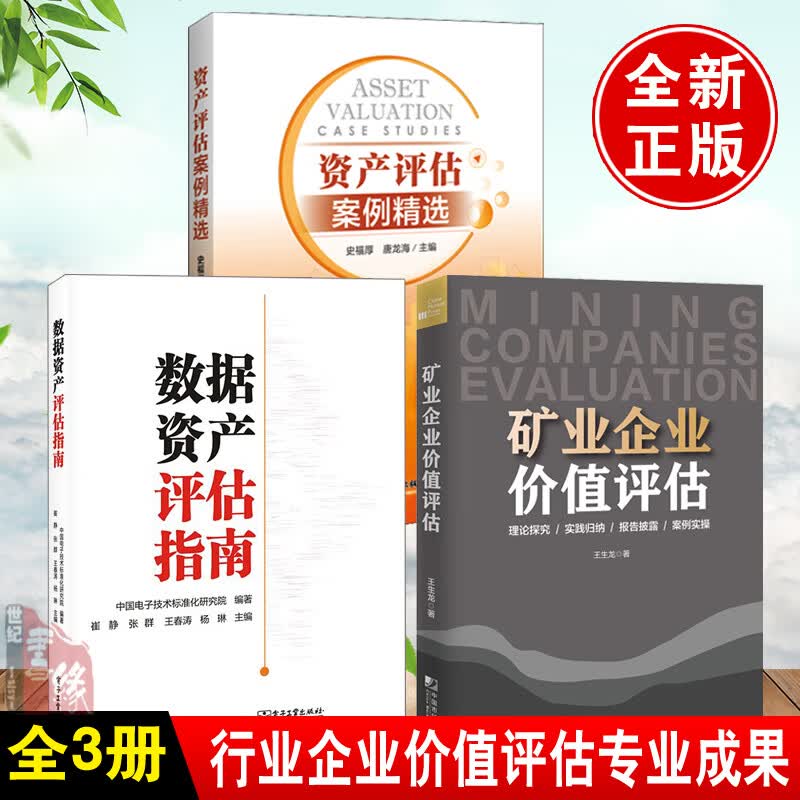 【全3册】数据资产评估指南矿业企业价值评估资产评估案例精选中国电子技术标准化研究院数据资产评估产业机构相关从业人员经营