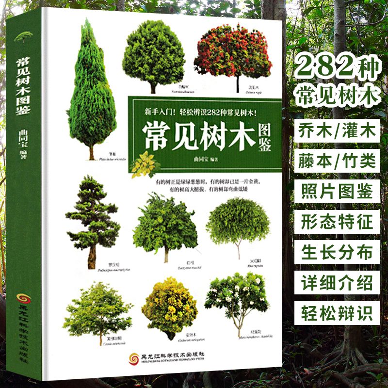 常见树木图鉴 植物图鉴书籍大全 小学生植物百科全书青少年版中国书籍 无颜色 无规格