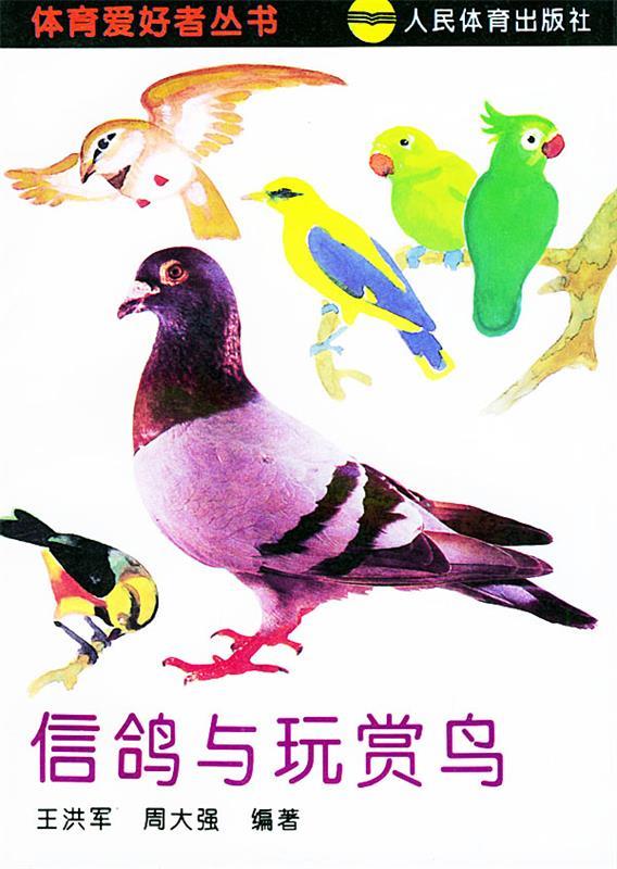 信鸽与玩赏鸟 周大强 著