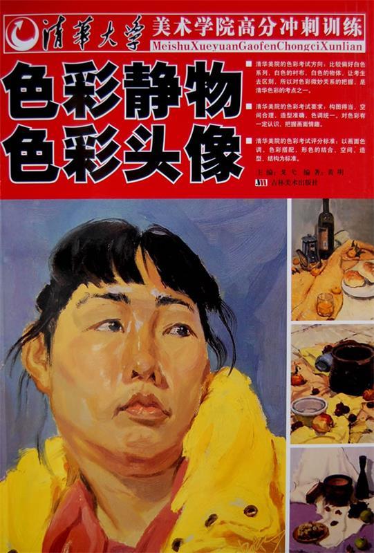 色彩静物，色彩头像【好书，下单速发】