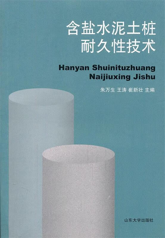 含盐水泥土桩耐久性技术
