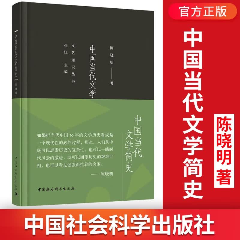 中国当代文学简史（2020） 陈晓明 著 中国社会科学出版社 文艺通识丛书