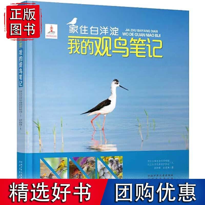 家住白洋淀—我的观鸟笔记