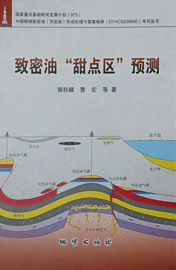 致密油“甜点区”预测 郭秋麟等著 地质出版社