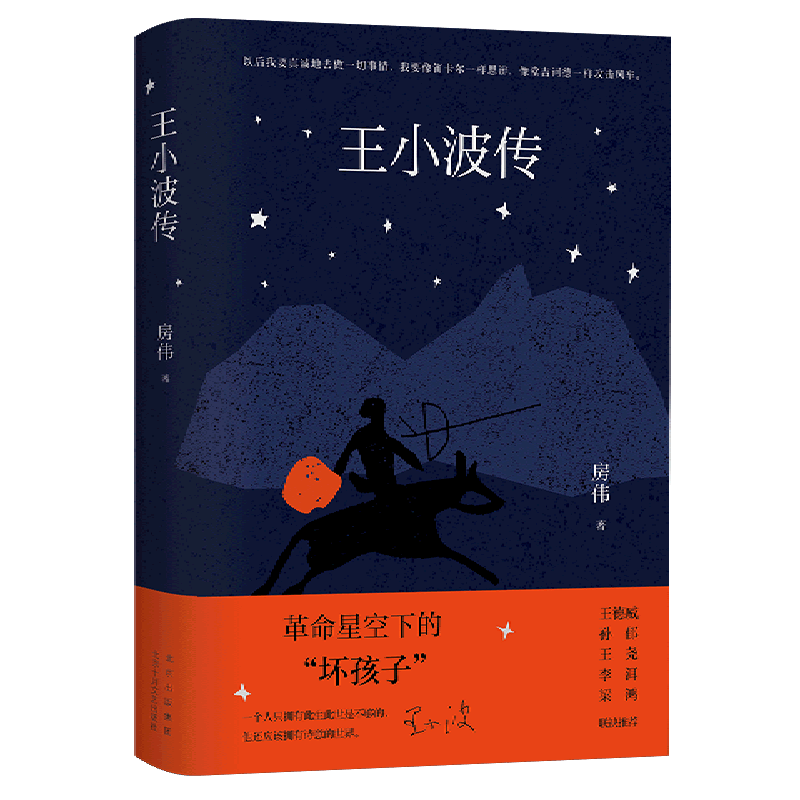 王小波传(精)