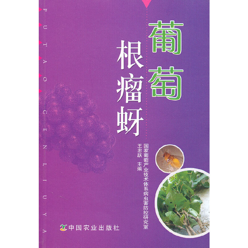 葡萄根瘤蚜