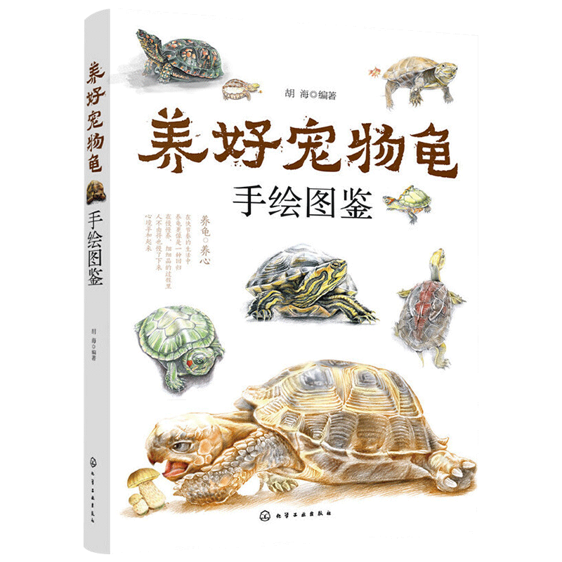 养好宠物龟手绘图鉴 乌龟喂养方法 水龟半水龟陆龟养殖书宠物龟饲养技术书 乌龟疾病诊断治疗 防治技术高效养殖技术书