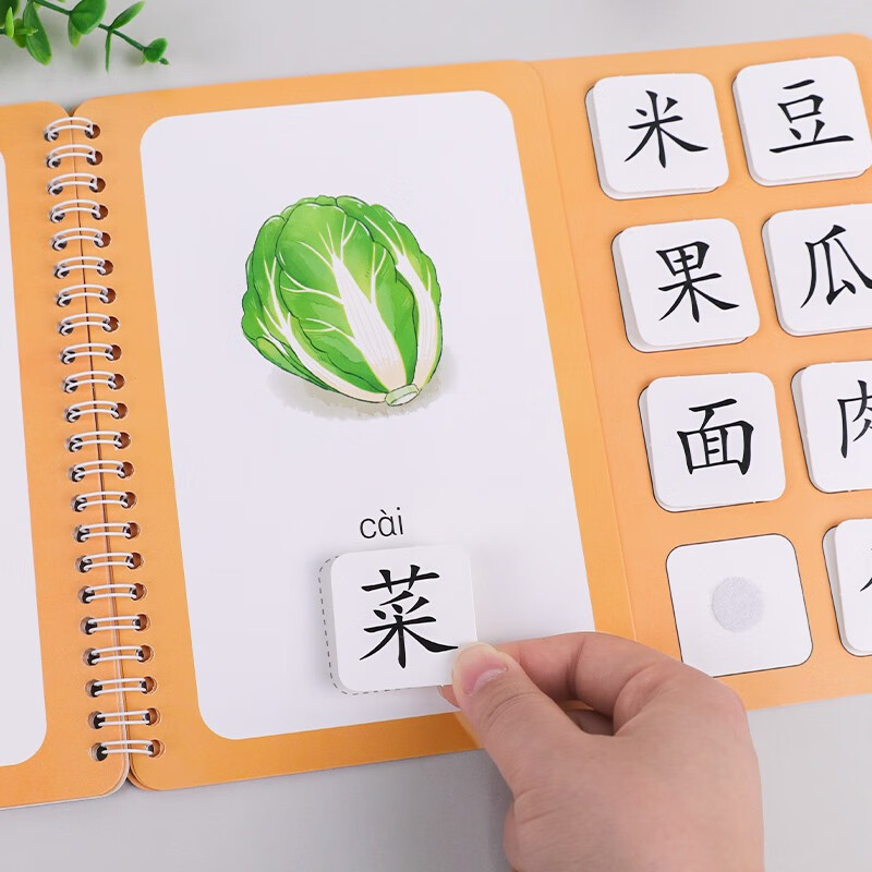 斗半匠识字启蒙游戏书儿童幼儿早教益智学前识字书宝宝安静书手撕拉粘贴撕撕书魔术贴小朋友学认字卡片全套婴儿玩具游戏 认识食物