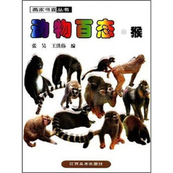 动物百态 猴【现货】
