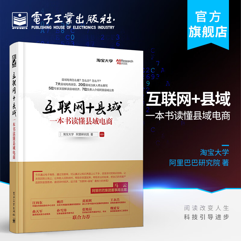 互联网+县域：一本书读懂县域电商