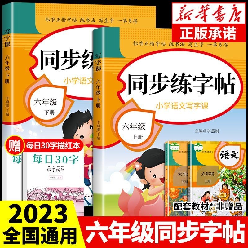 2023新版六年级上册语文同步练字帖人教版课本教材上学期每日一练小学生临慕字帖练字钢笔专用正楷书写字课课练小学下册暑假 【全2册】语文字帖上册+下册
